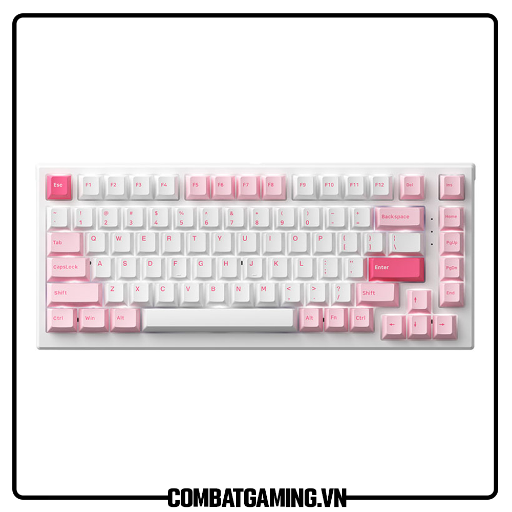 Bàn phím cơ AKKO MonsGeek MG75 Prunus Lannesiana