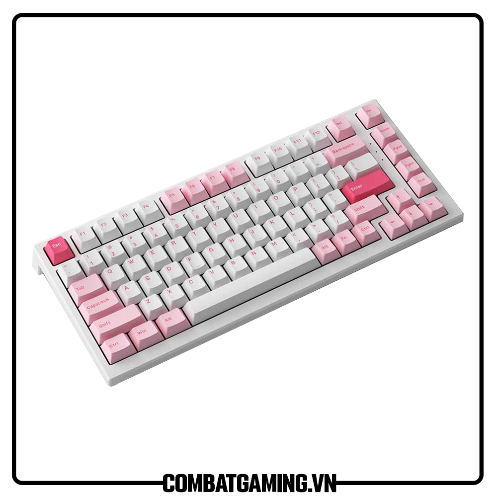 Bàn phím cơ AKKO MonsGeek MG75 Prunus Lannesiana